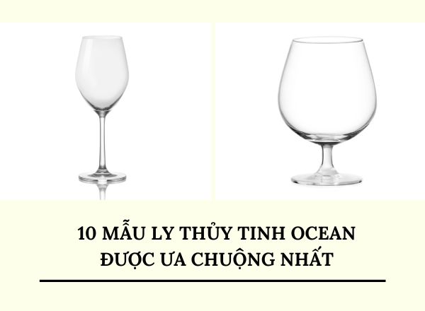 TOP 10 mẫu ly thủy tinh Ocean Thái Lan được ưa chuộng nhất